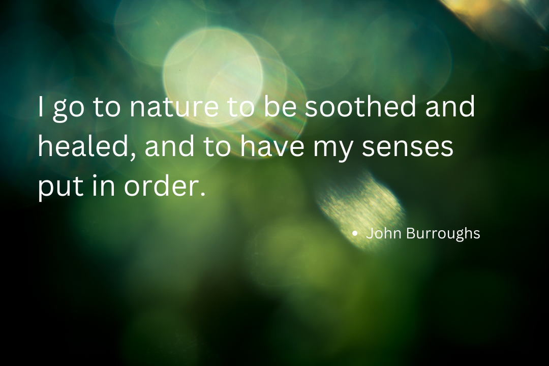 Nature Quotes to Awaken Your Connection | Vivid Munch