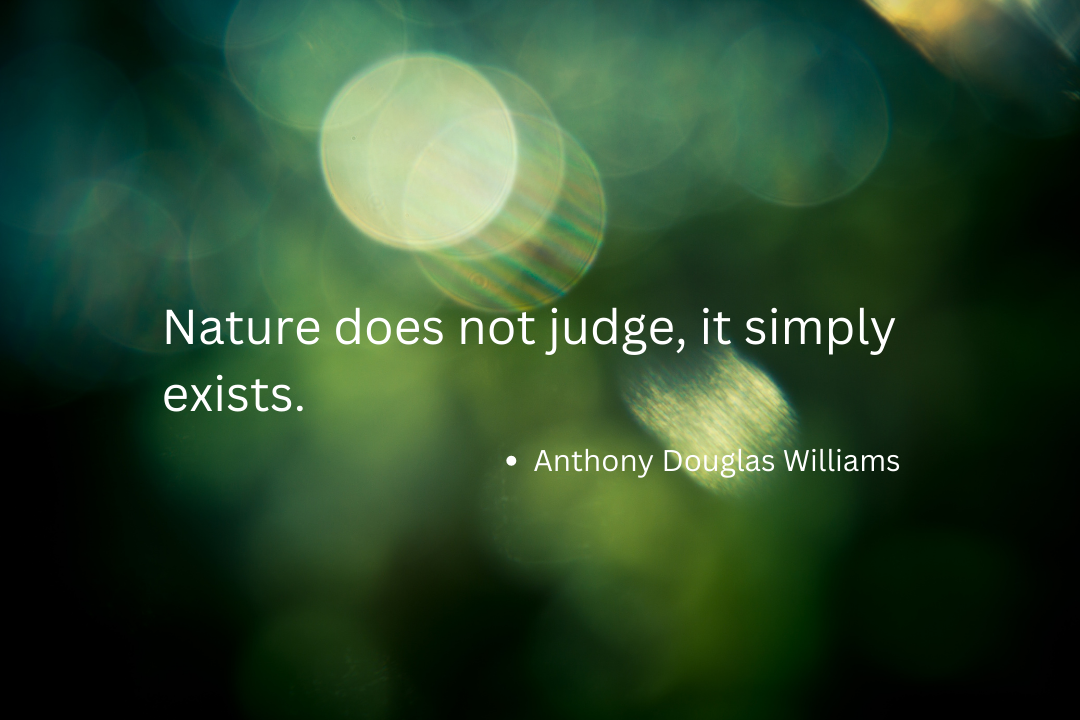 Nature Quotes to Awaken Your Connection | Vivid Munch