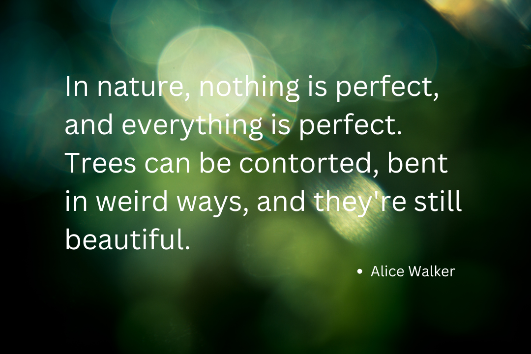 Nature Quotes to Awaken Your Connection | Vivid Munch