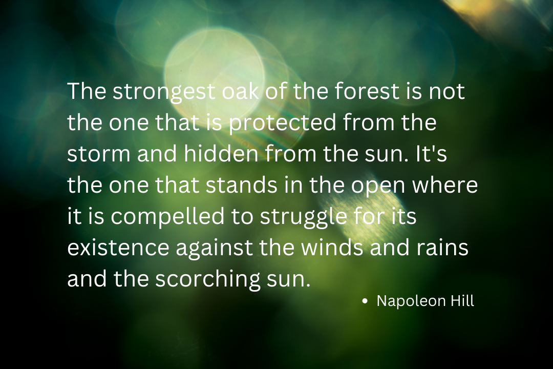 Nature Quotes to Awaken Your Connection | Vivid Munch