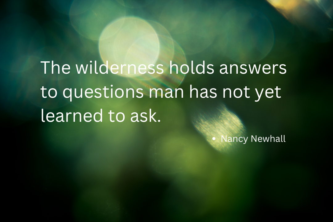 Nature Quotes to Awaken Your Connection | Vivid Munch
