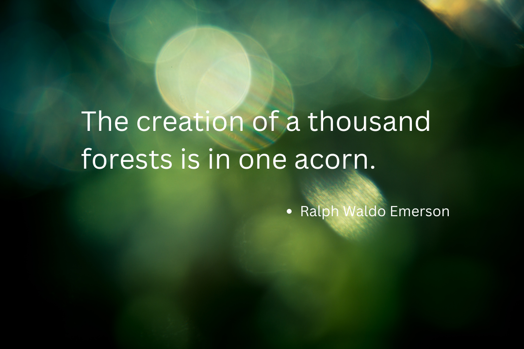 Nature Quotes to Awaken Your Connection | Vivid Munch