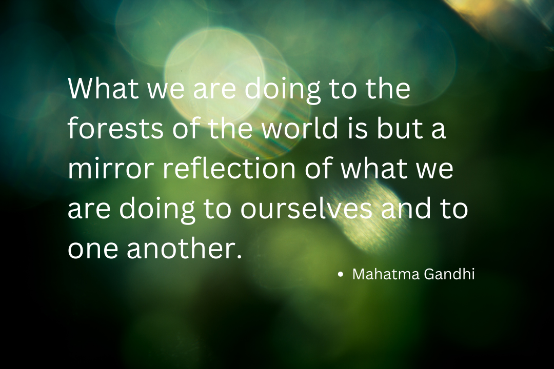 Nature Quotes to Awaken Your Connection | Vivid Munch