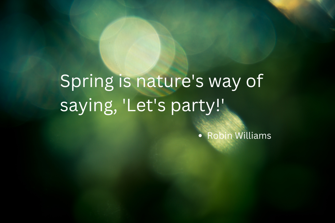 Nature Quotes to Awaken Your Connection | Vivid Munch