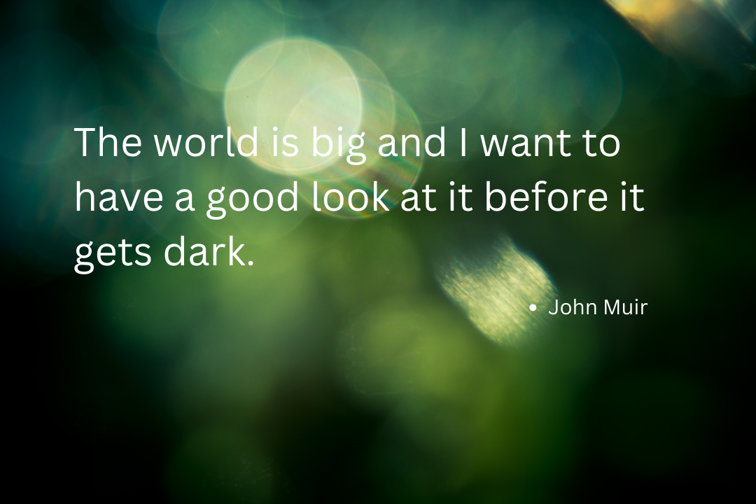 Nature Quotes to Awaken Your Connection | Vivid Munch