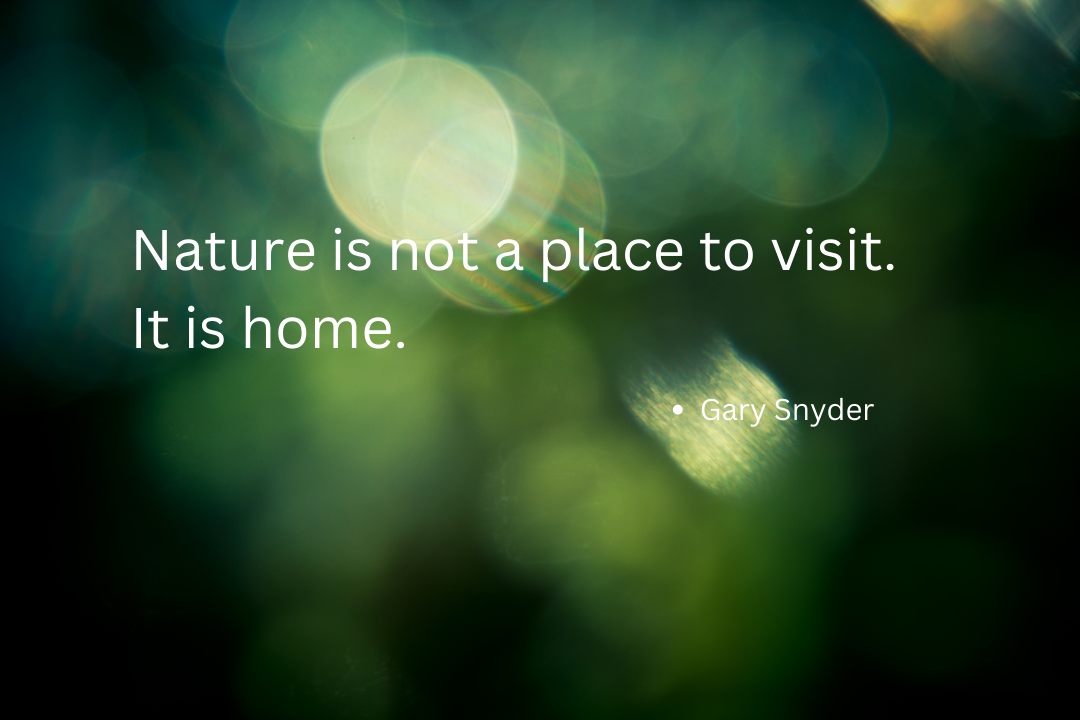 Nature Quotes to Awaken Your Connection | Vivid Munch