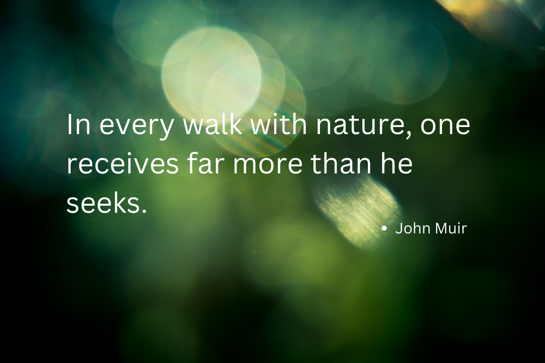 Nature Quotes to Awaken Your Connection | Vivid Munch